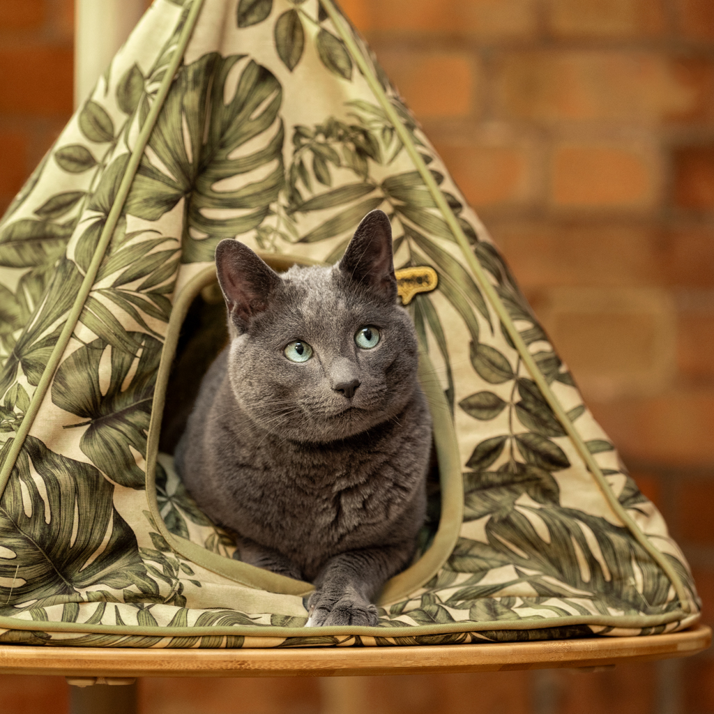 Freestyle - Bambusplatform med Tipi til katte - Secret Garden ...